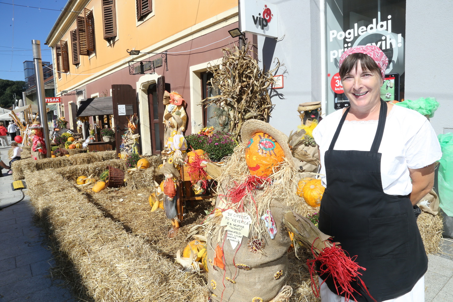 POZIV IZLAGAČIMA Prijavite se na manifestaciju "Jesen u gradu Zrinskih"