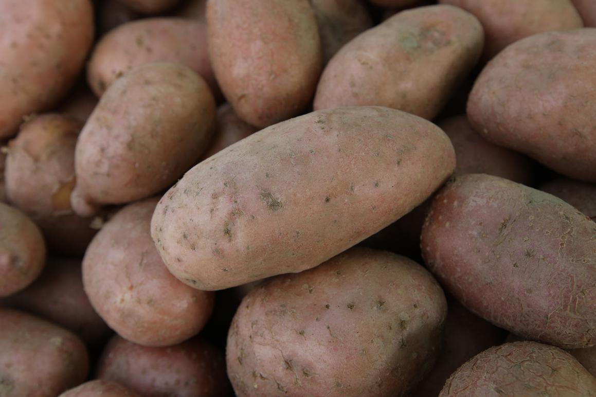 „Međimurski kalamper“ postao zaštićena robna marka