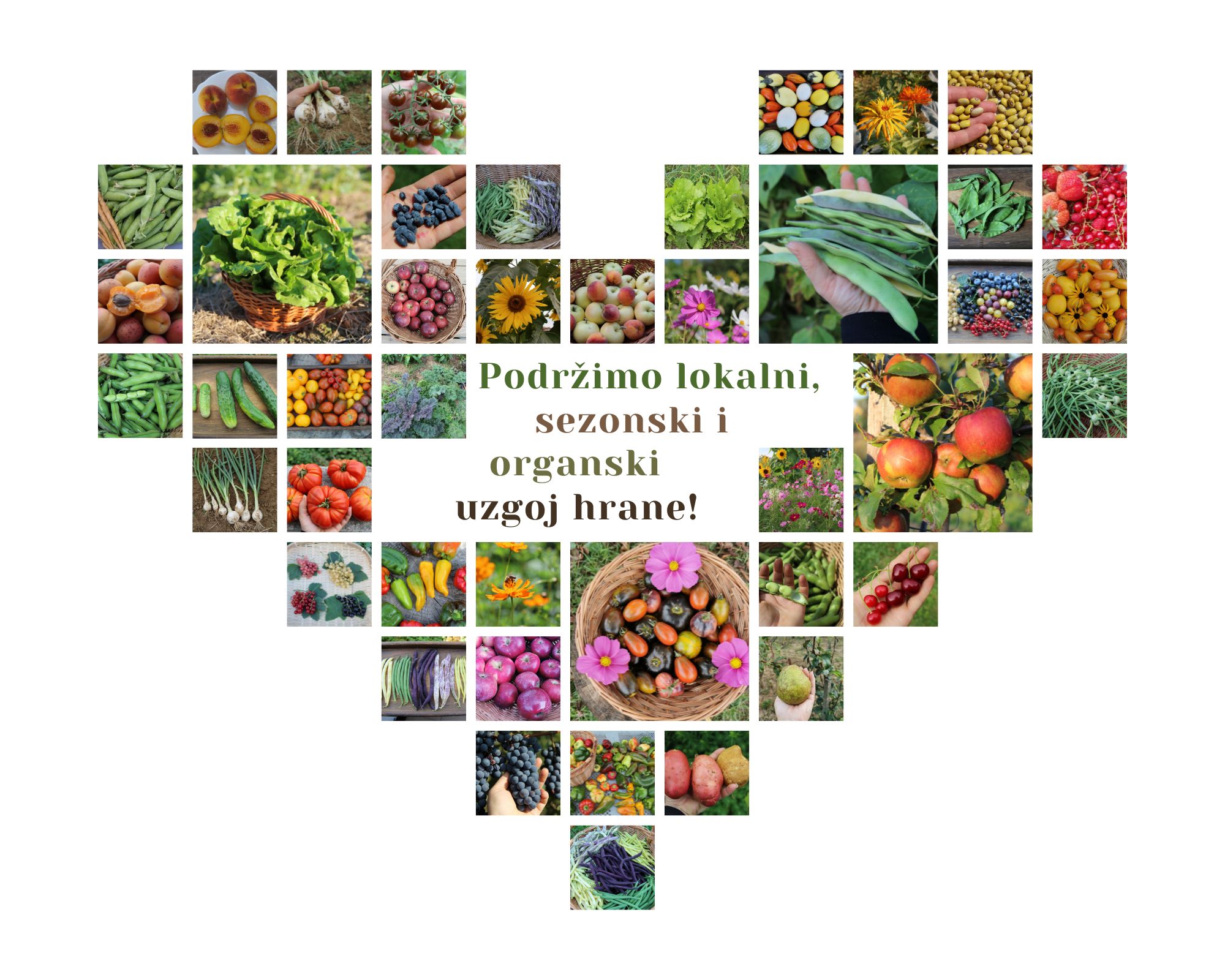 Udruga Biovrt izdala je novu brošuru i video „Podržimo lokalni ...